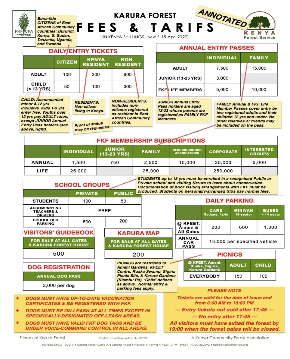 Friends of Karura Forest – Page 2 – Karura Forest – Secure, Safe, Serene