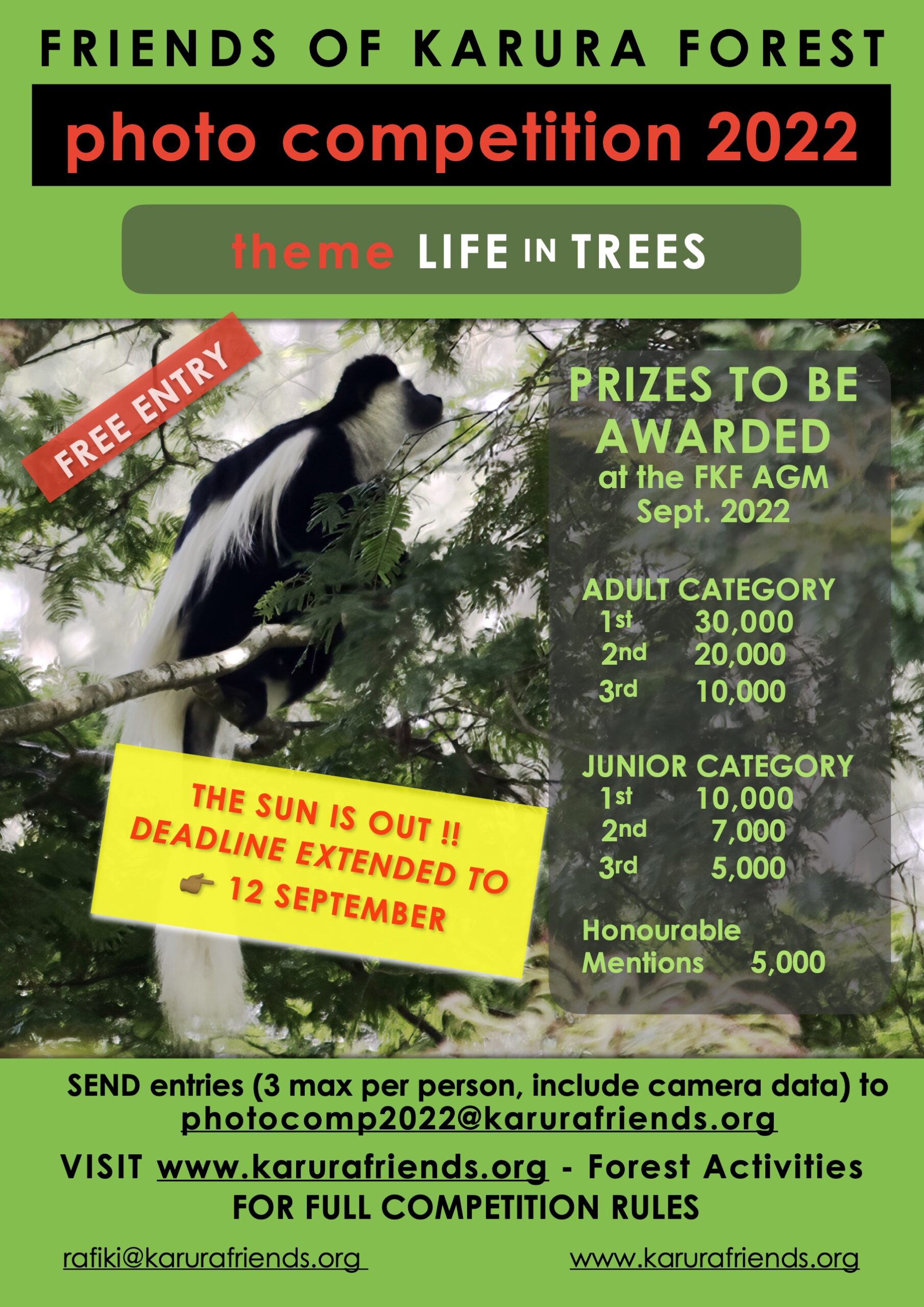 Friends of Karura Forest – Karura Forest – Secure, Safe, Serene