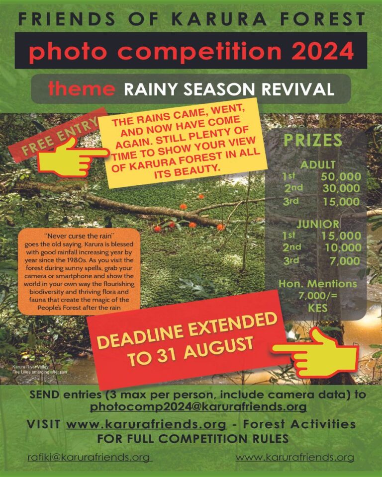 Karura Photo Competition 2024 News – Friends of Karura Forest